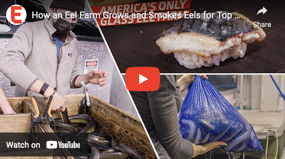Dan Does Visits American Unagi: How an Eel Farm Grows and Smokes Eels