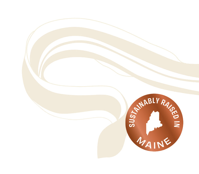 Our Farm - American Unagi