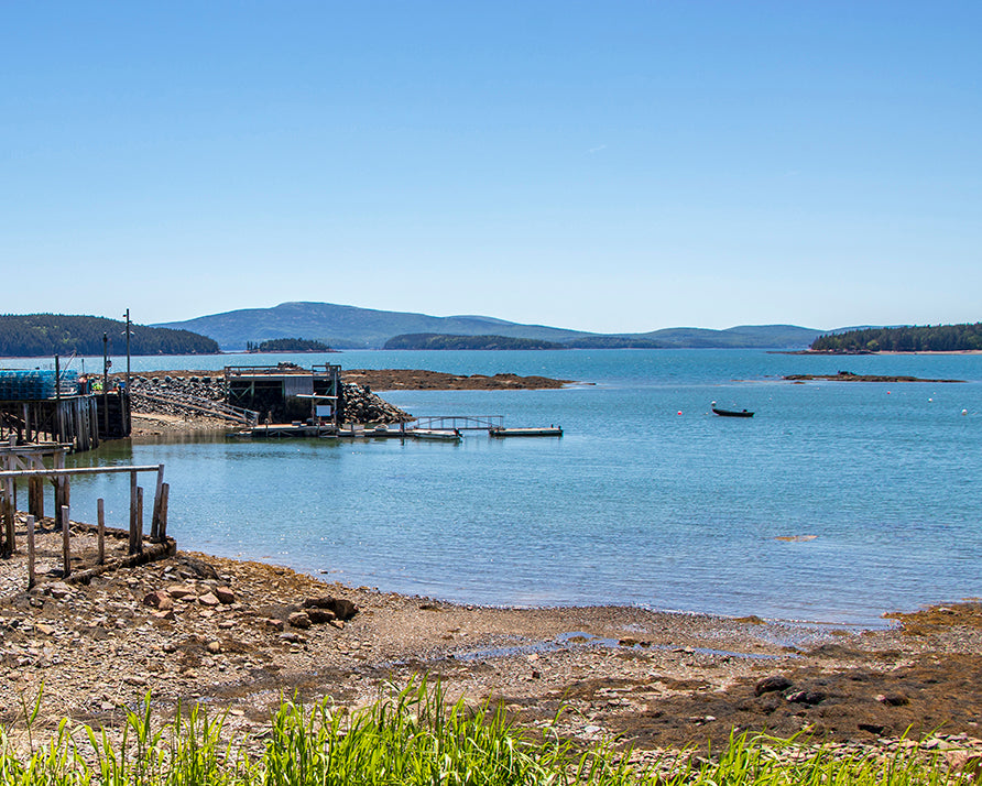 Our Farm - American Unagi